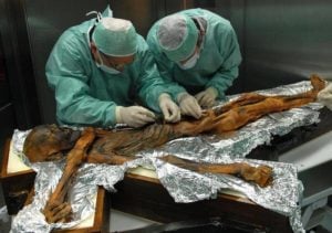 Scientists Now Know What Otzi The Iceman's Last Meal Was