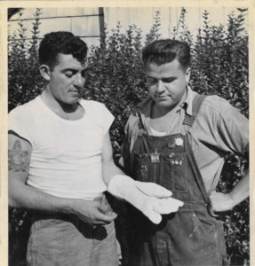 Why John Basilone Might Be The Toughest Soldier Of World War II