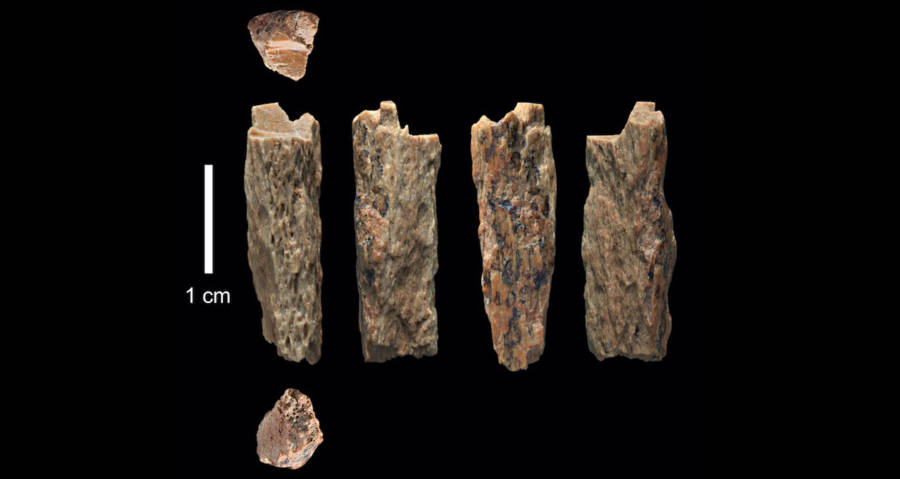 DNA Reveals The First Evidence Of Neanderthal and Denisovan Hybrid