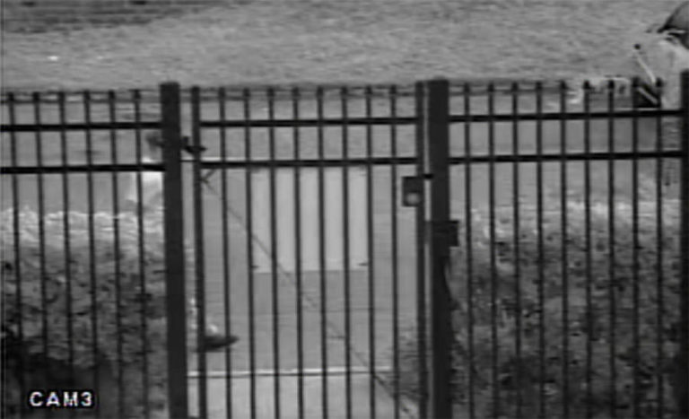 Jennifer Kesse, The Florida Woman Who Vanished Without A Trace