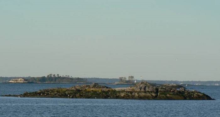 Rat Island: The Only Privately-Owned Island In New York City
