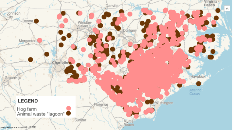 Hog Waste Lagoons Could Overflow During Hurricane Florence