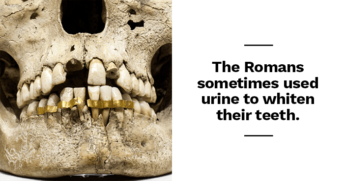 33 Ancient Rome Facts That Will Change The Way You See History