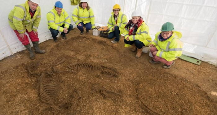 Interesting News Stories From Around The World On All That Is Interesting