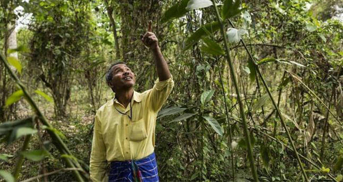 Jadav Payeng: The Man Who Created A Forest In India