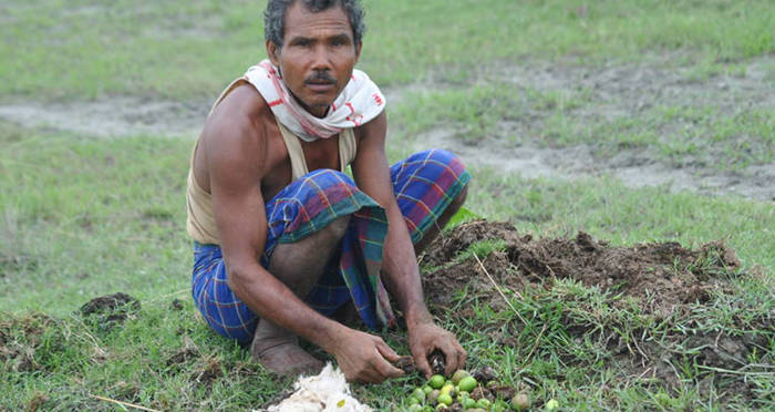 Jadav Payeng: The Man Who Created A Forest In India