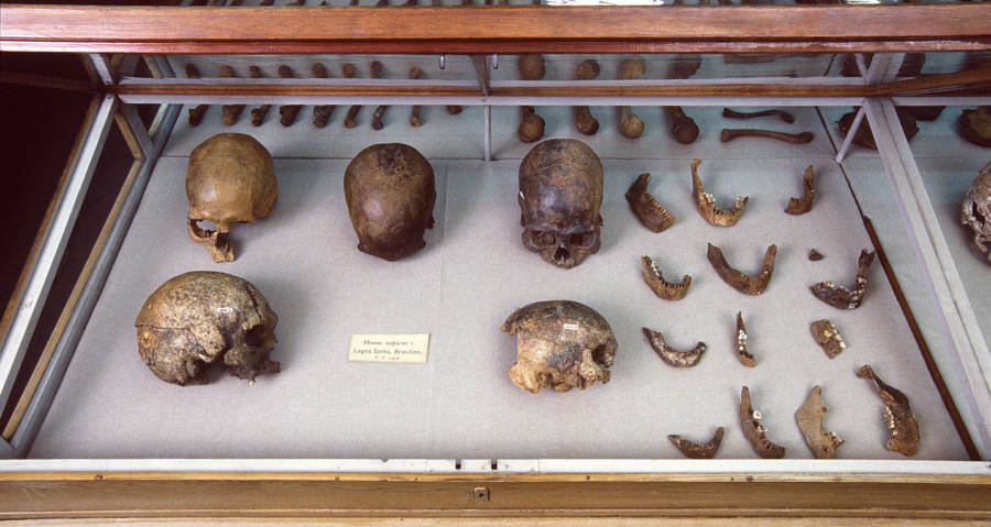 Spirit Cave Mummy, World's Oldest, Found To Be Native American