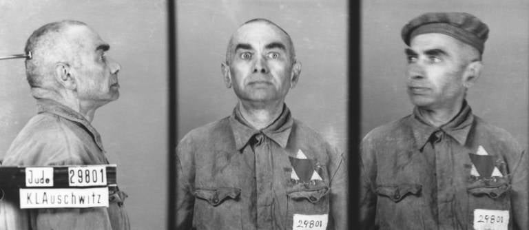 33 Holocaust Victims Pictures That Reveal Concentration Camp Horrors 33 Holocaust Victims Pictures That Reveal Concentration Camp Horrors