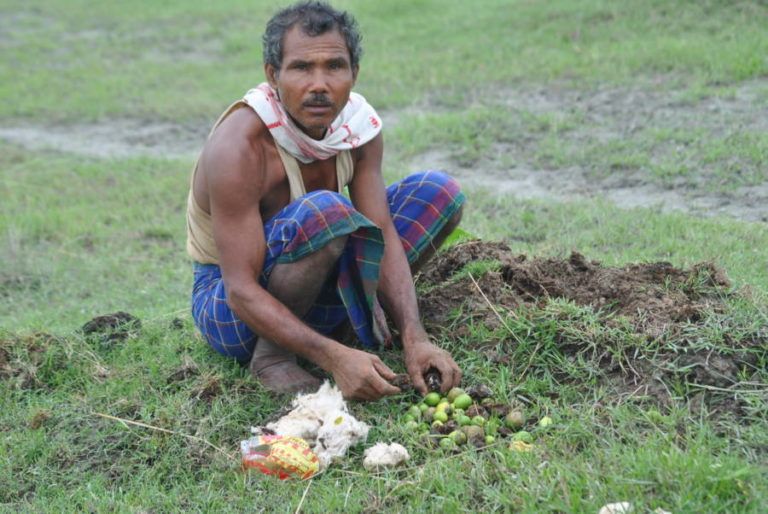 Jadav Payeng: The Man Who Created A Forest In India