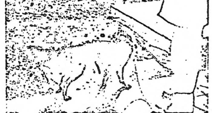 CIA Project MKUltra Achieved Dog Mind Control During The Cold War