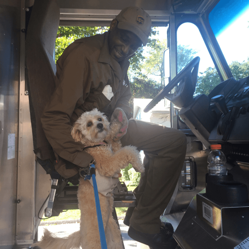 UPS Dogs, The Facebook Group, Is Taking The Internet By Storm