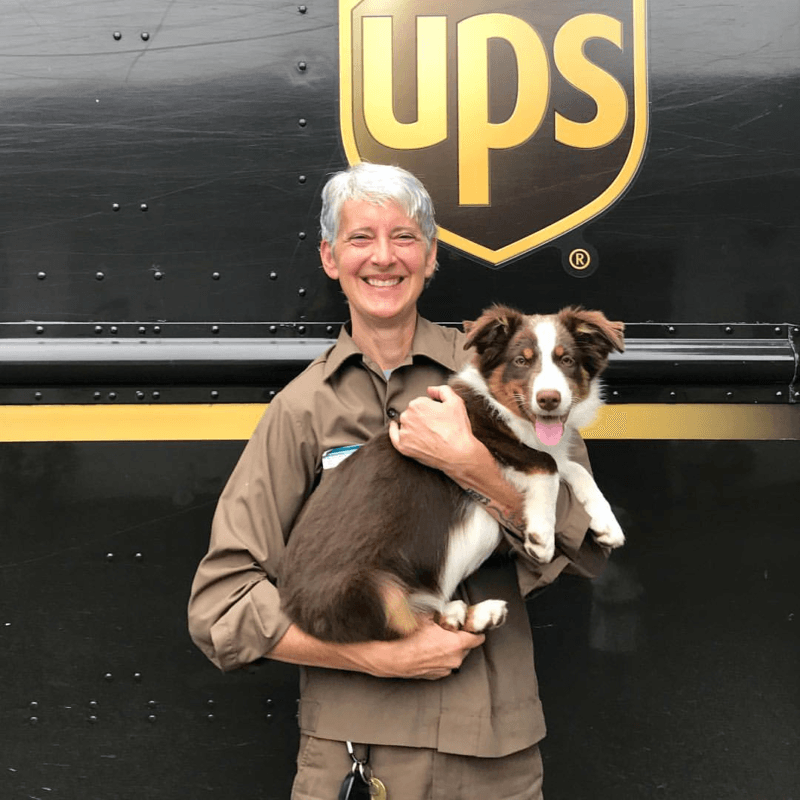 UPS Dogs, The Facebook Group, Is Taking The Internet By Storm