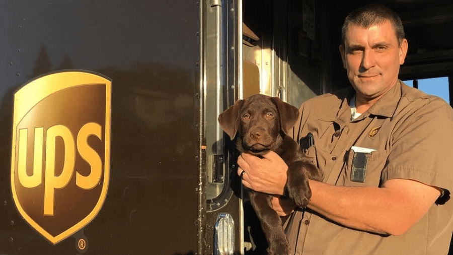 UPS Dogs, The Facebook Group, Is Taking The Internet By Storm