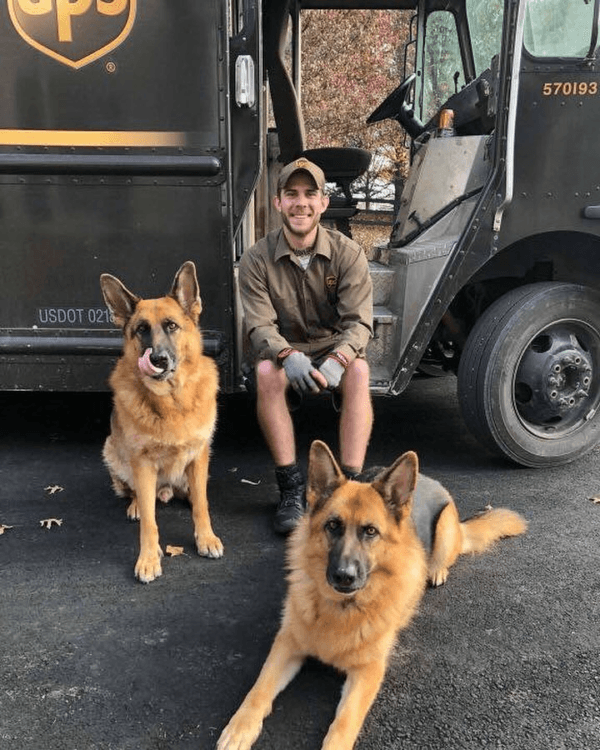 UPS Dogs, The Facebook Group, Is Taking The Internet By Storm