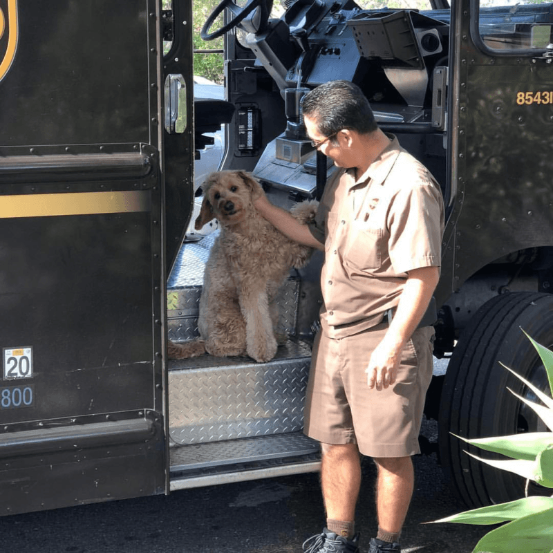 UPS Dogs, The Facebook Group, Is Taking The Internet By Storm