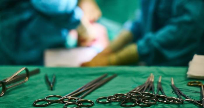 Odd, Bizarre, And Incredibly Weird News Stories From Around The World