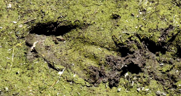 Mark Oliver, Author At All That's Interesting