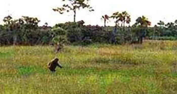 Mark Oliver, Author At All That's Interesting