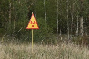 Why The Animals Of Chernobyl Thrive In The Exclusion Zone