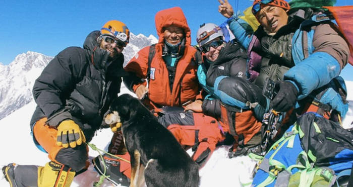 Stray Dog Joins Hikers On 24,000-Foot Himalayan Mountain Expedition