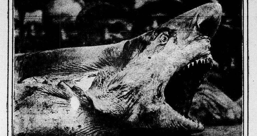 William DeLong, Author At All That's Interesting