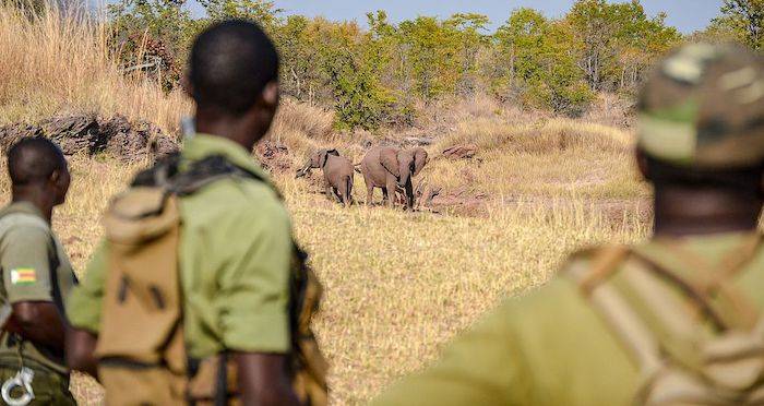 False Reports Claim Kenya Considered The Death Penalty For Poachers