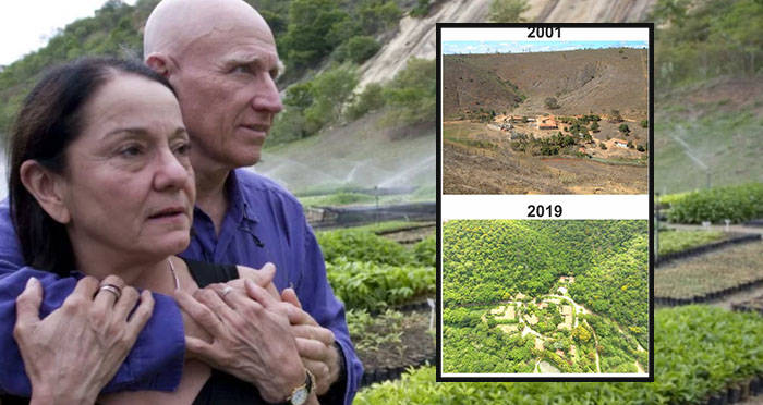 Brazilian Forest Thrives After Sebastião Salgado Replants 2 Million Trees