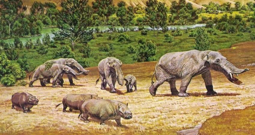 Fossil Study Discovers 'Texas Serengeti' That Existed 11 Million-Years-Ago