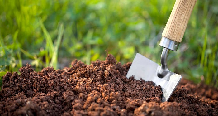 Washington Is Now Officially The First State To Allow "Human Composting"