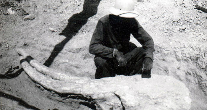 Fossil Study Discovers 'Texas Serengeti' That Existed 11 Million-Years-Ago