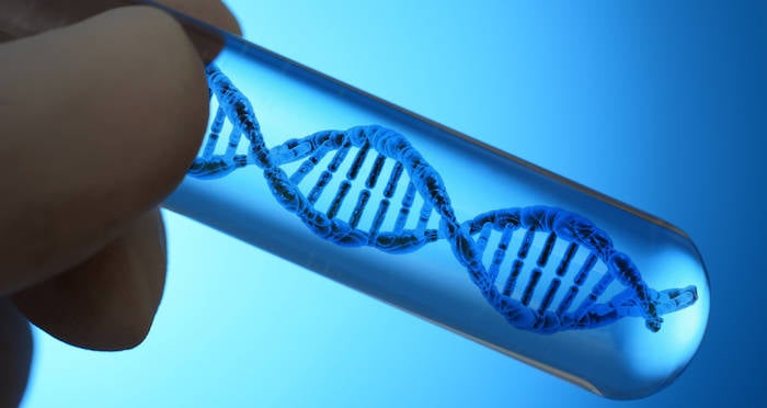 Scientists Build A Completely Synthetic Life Form — A World First