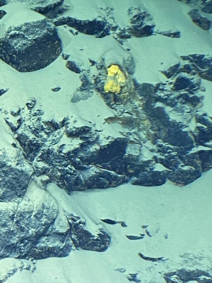 Challenger Deep: What Lies In The Deepest Part Of The Ocean?