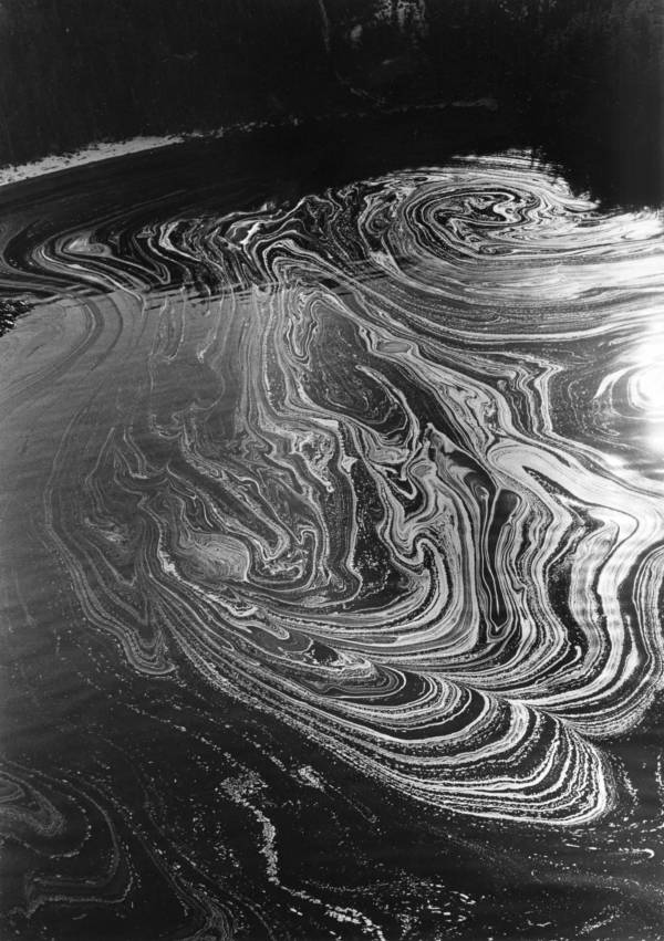 The Exxon Valdez Oil Spill In 33 Devastating Photos