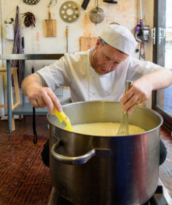 "Human Cheese": Museum Displays Cheese Made From Armpit Bacteria