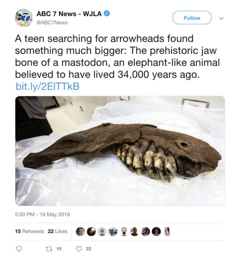 Iowa Teenager Finds 34,000-Year-Old Mastodon Jaw In Friend's Farm