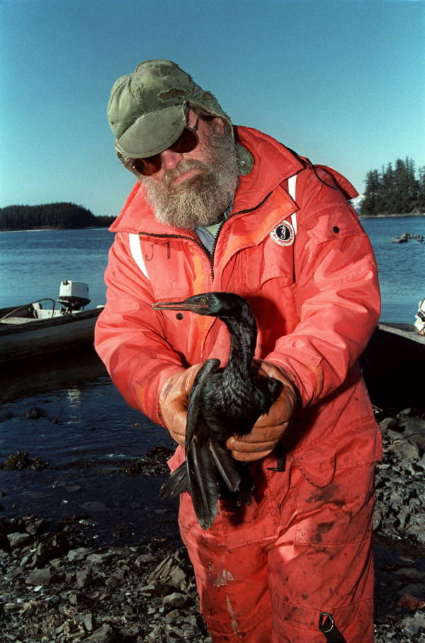 The Exxon Valdez Oil Spill In 33 Devastating Photos