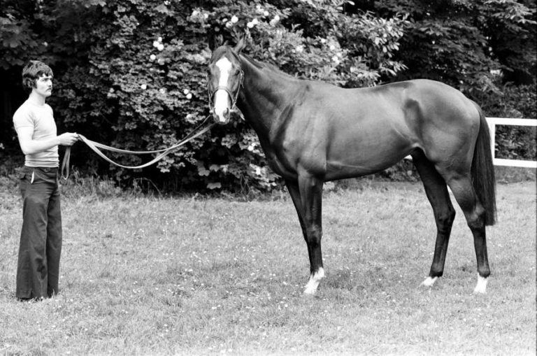 Shergar: The Wonder Horse Whose Kidnapping Shocked the World