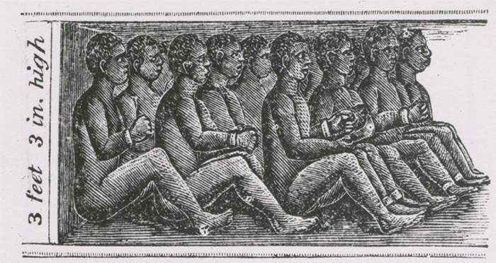 Wreckage Of Clotilda, Last American Slave Ship, Found In Alabama