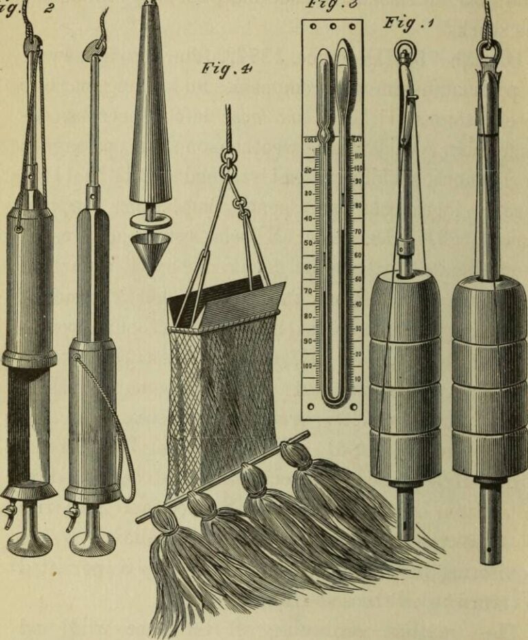 Challenger Deep: What Lies In The Deepest Part Of The Ocean?