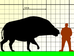 Entelodont: The Prehistoric "Hell Pig" That Weighed 2,000 Pounds