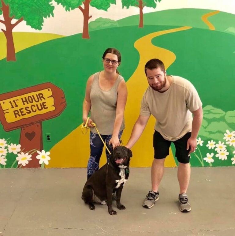 Heartbreaking Photo Of Dog Waiting For His Dead Owner Gets Him Adopted