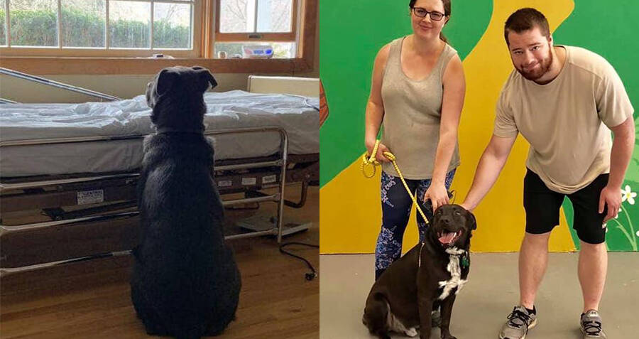 Heartbreaking Photo Of Dog Waiting For His Dead Owner Gets Him Adopted