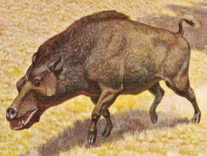 Entelodont: The Prehistoric "Hell Pig" That Weighed 2,000 Pounds