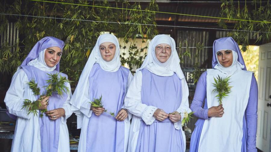 Meet The Sisters Of The Valley: The Nuns Devoted To Marijuana