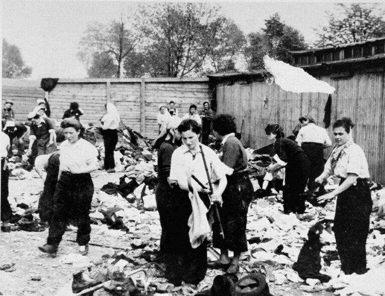 Arbeit Macht Frei: Atrocities Of The Nazis' Slave Labor Camps