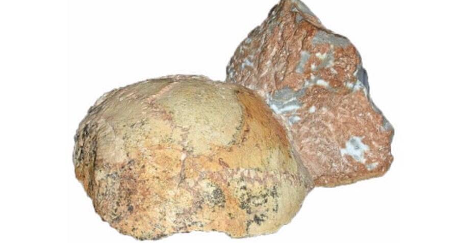 This 210,000-Year-Old Fossilized Skull Could Rewrite Early Human History