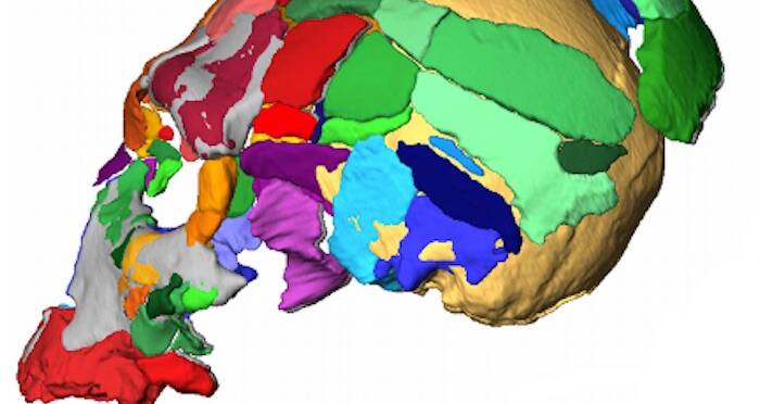 This 210,000-Year-Old Fossilized Skull Could Rewrite Early Human History