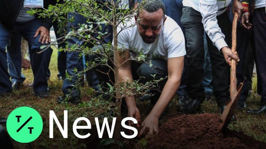 Ethiopia Breaks World Record With 353 Million Trees Planted In 12 Hours