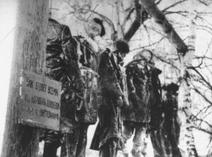 World War 2's Eastern Front From Stalingrad To Berlin In 48 Photos