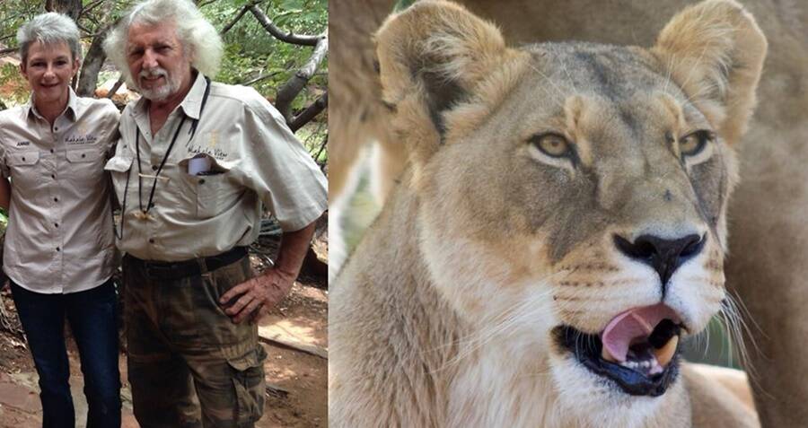 Game Reserve Owner Nicknamed 'Lion Man' Mauled To Death By Lions